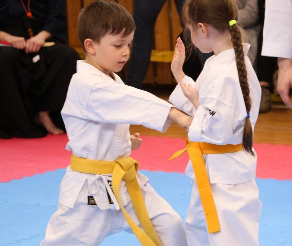 Karate – Vilniaus vaikų ir jaunimo klubas „Šatrija“